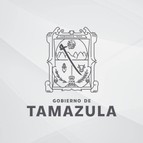 H. Ayuntamiento de Tamazula, Durango